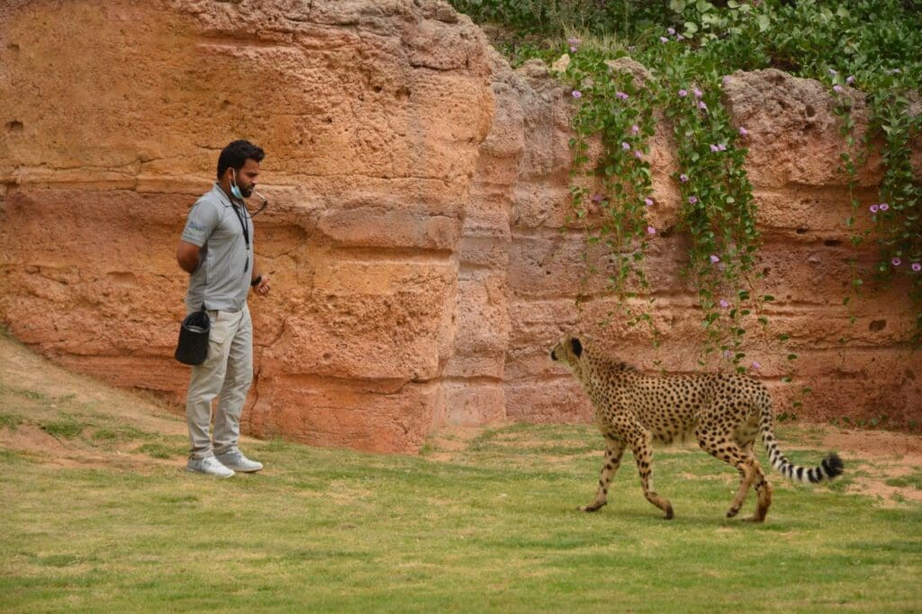 Our Services | Experts In Zoos, Aquariums & Animal Facilities